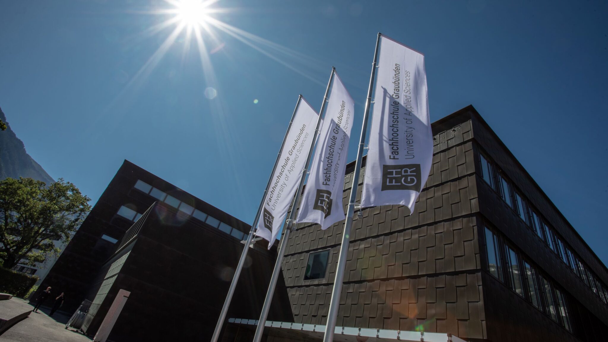 FFHS Swiss Distance University of Applied Sciences – AMS Switzerland